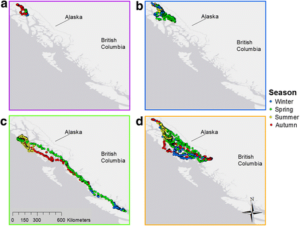 Do Bald Eagles Migrate? Seasonal Movement Patterns – Birds Freak